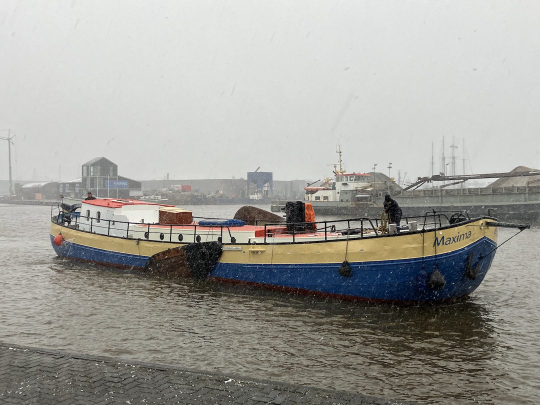 Charterschip Maxima | Multiship Holland B.V.